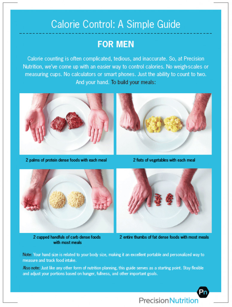 Precision Nutrition Meal Plan Template BEST HOME DESIGN IDEAS